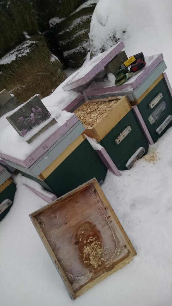 Moisture Board versus Quilt Block? | Page 2 | Beesource Beekeeping Forums