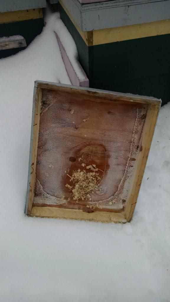 Quilt Box Inspection | Beesource Beekeeping Forums