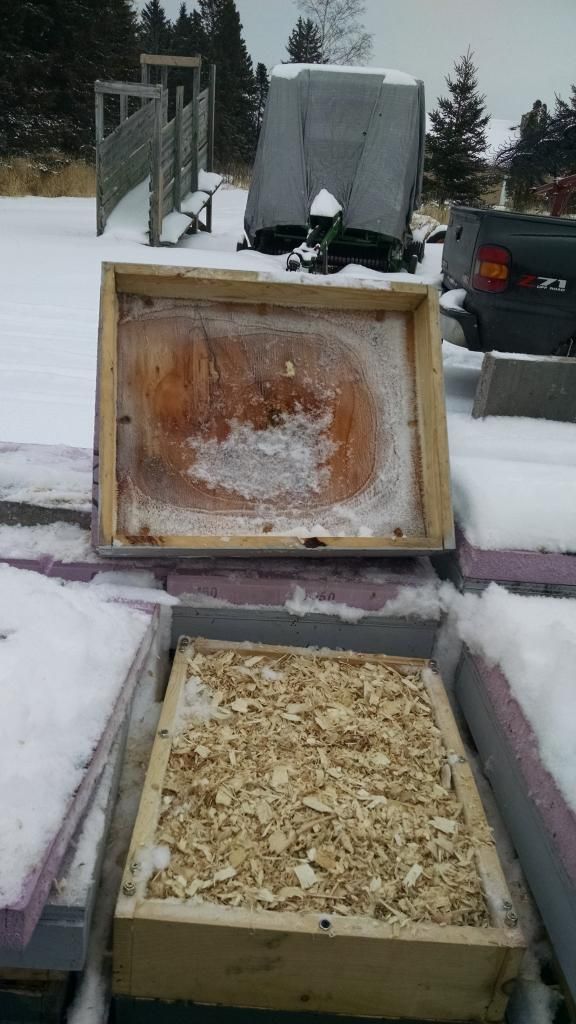 Quilt Box Inspection | Beesource Beekeeping Forums