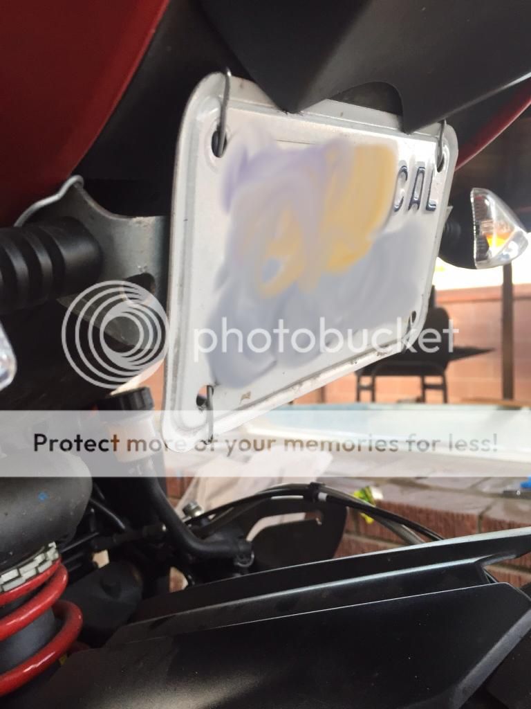 The Most Ghetto-est DIY Tail Tidy and Pictures! | Triumph Rat ...