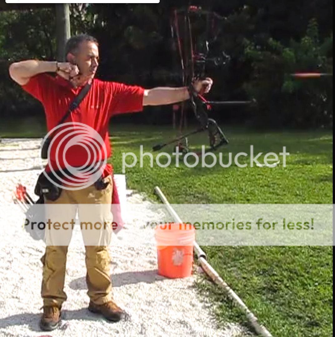 Hoyt tuning guide | Archery Talk Forum