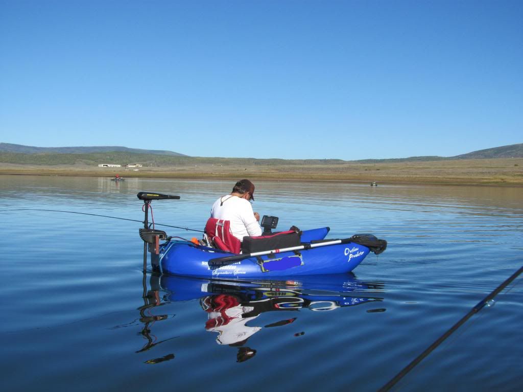 NFO Scadden Outlaw Predator? | Washington Fly Fishing Forum