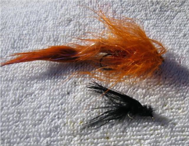 strawberry flies | Utah Wildlife Forum