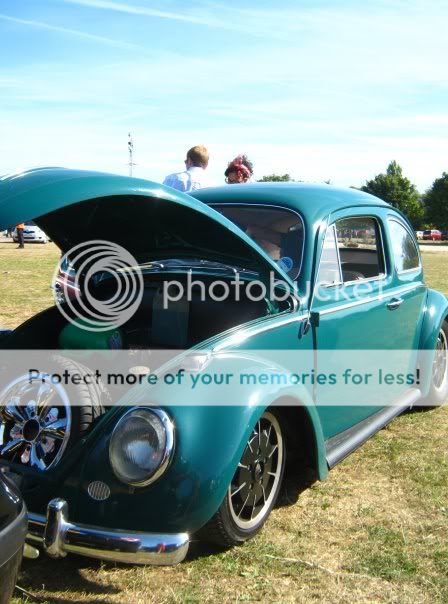 Java Green 1964 Beetle - Must See | Volkszone Forum