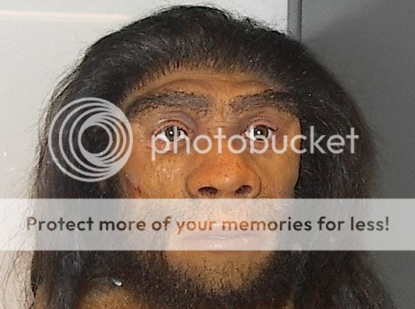 Island sink | Page 3 | Plumbing Zone - Professional Plumbers Forum