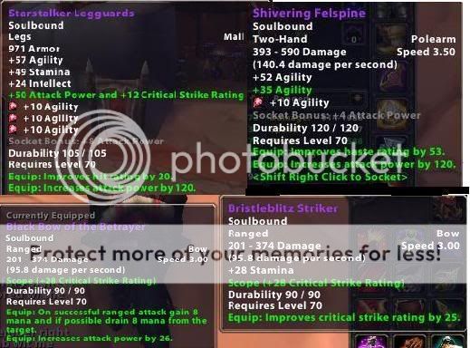 WTT 6/8 T6 Orc Hunter w/ Sunwell LOOT - EpicNPC