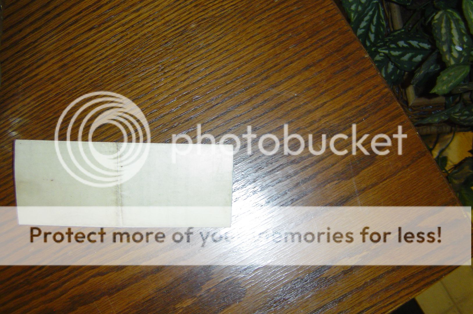 P38 Bring Back Question (lots of pictures) | Jan C. Still Lugerforums