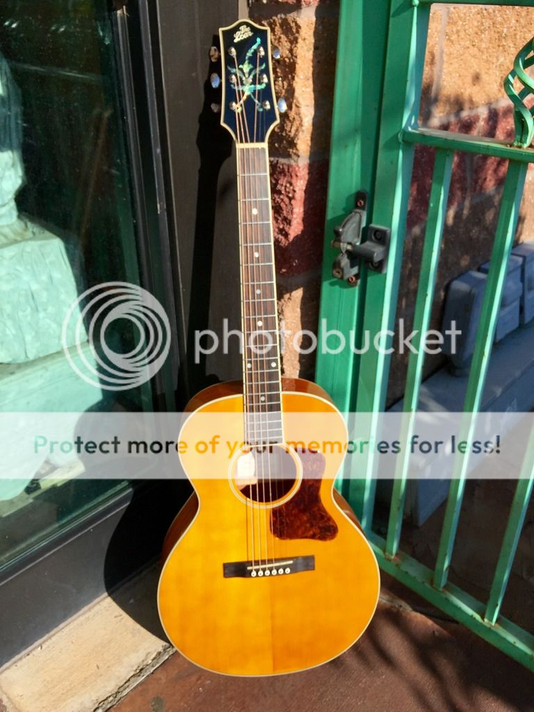 NGD: The Loar LH-200 - The Acoustic Guitar Forum