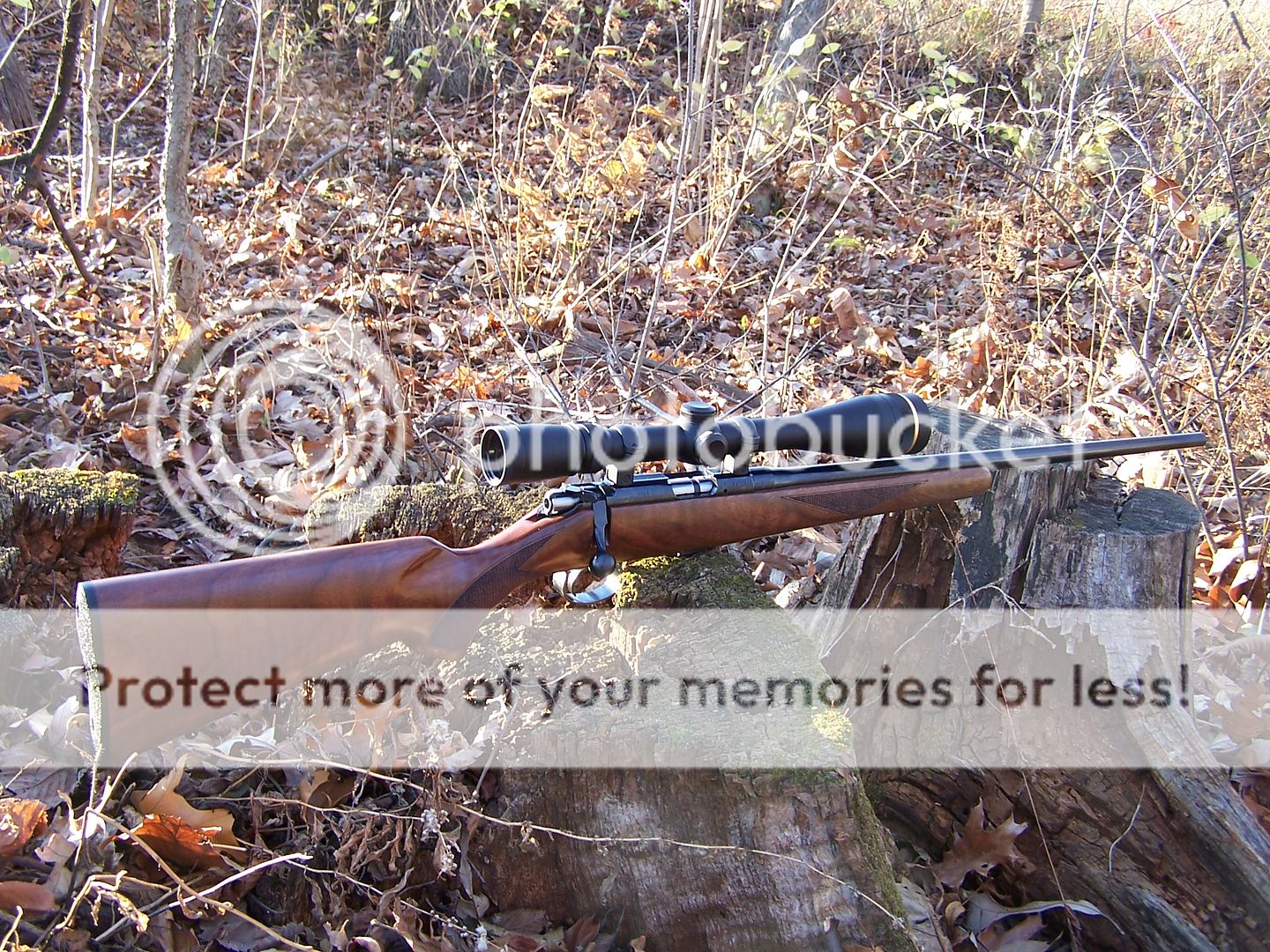 My Whittaker CZ 452 Pictures complete with a Target | Rimfire Central ...