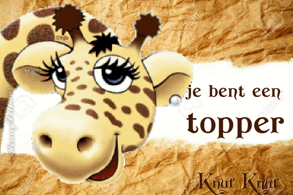 je bent een topper_zpsw8ax06ge.gif gif by hjb8860 | Photobucket