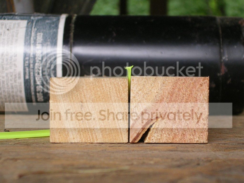 Does this vane look weird? | Archery Talk Forum