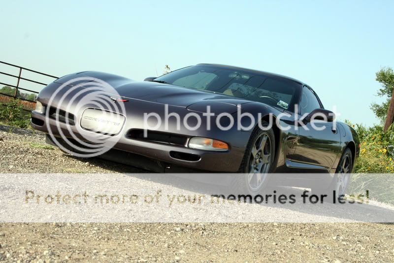 1998 Purple Pearl C5 value? Is it really rare? - Page 3 - CorvetteForum ...