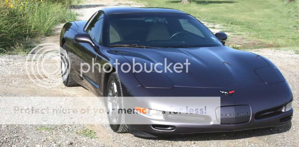 1998 Purple Pearl C5 value? Is it really rare? - Page 3 - CorvetteForum ...