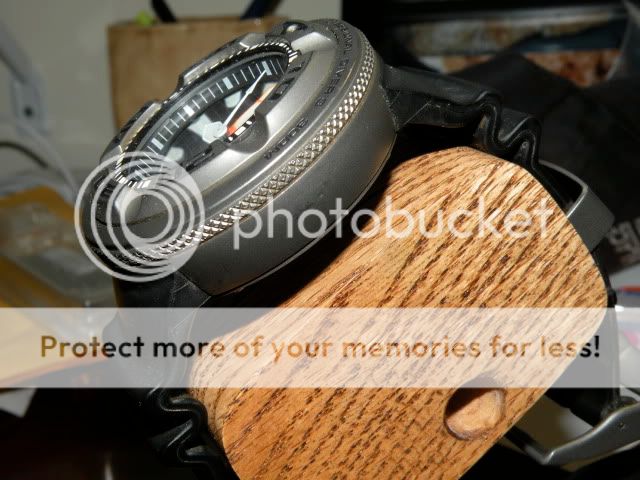 EUC Citizen Ecozilla titanium 300m diver with Walt's adapters ...