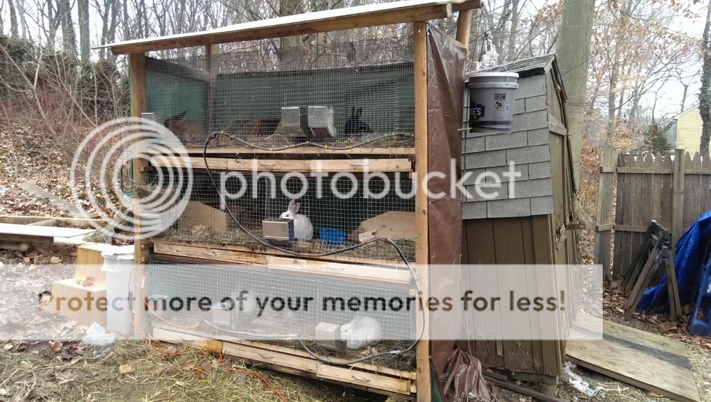 My stacked cage setup- something different.. | Rabbit Talk - Meat ...