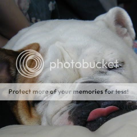 Lana and her daddy.....pics