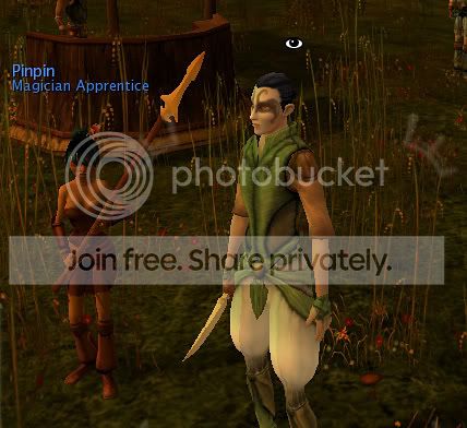 Mod The Sims - What is up with Ryzom?